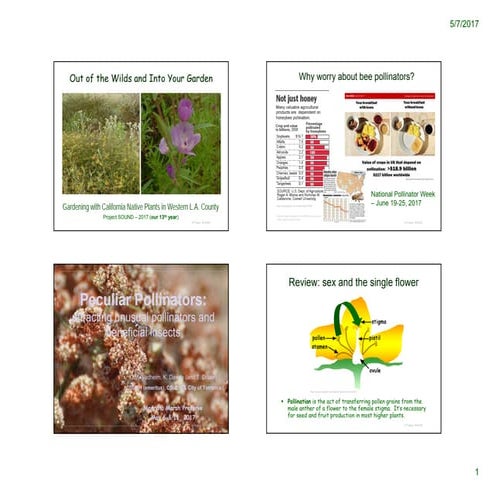 Pollinators 2017notes | PPT