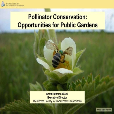 Pollinators in the Garden: Forging Partnerships for Native Insect ...