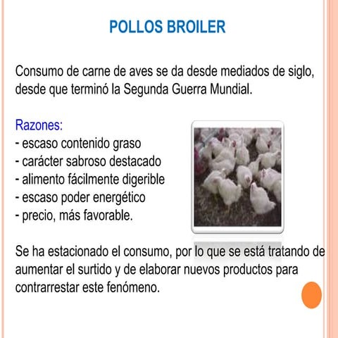 Pollos Broiler | PPT
