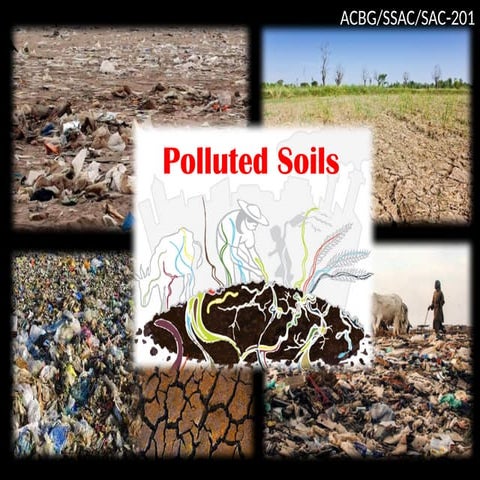 Polluted Soils, causes for soil pollution and problems associated | PPTX