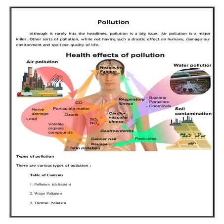 Pollution | DOCX | Indoor Environmental Quality | Home & Garden