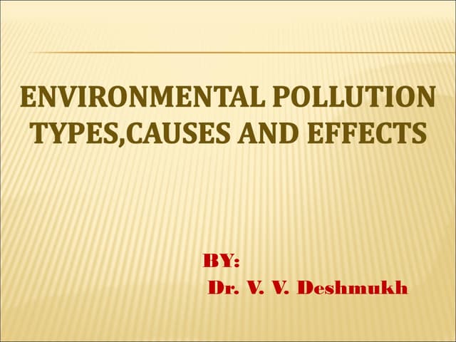 Pollution - Environmental Studies Project | PDF