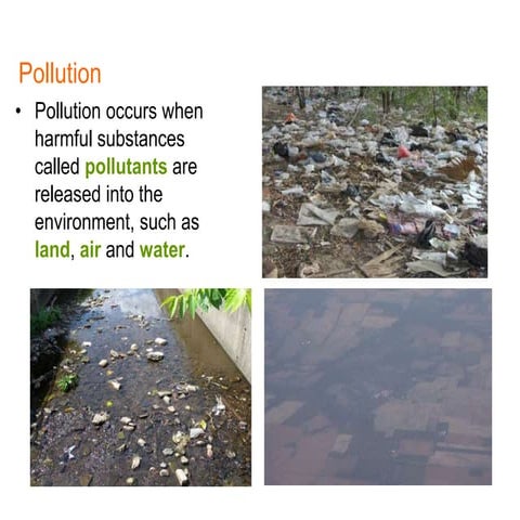 Pollution of air , water and land | PDF