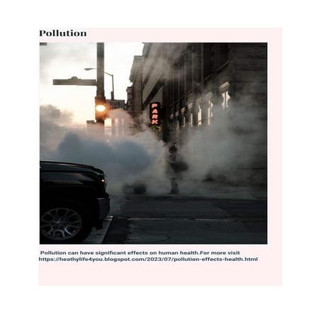 Pollution | PDF