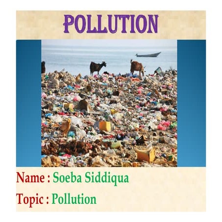 Pollution, Pollution studied for students | PDF