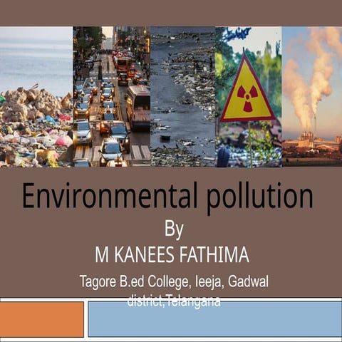 Pollution-PPT.ppt_20251225_113922_0000.pptx