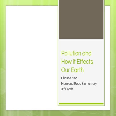 Environment grade 3 | PPTX