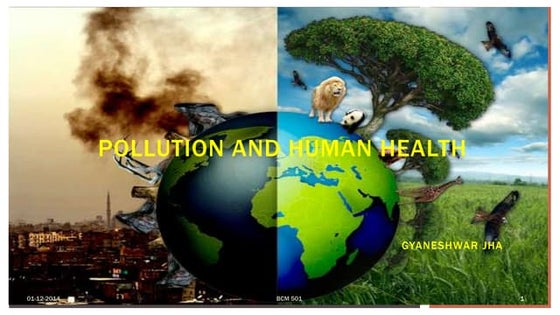 Pollution and it's Effects on Human Health | PPT