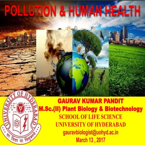 Effects Of Soil Pollution On Human Health Soil Pollution: A Threat To