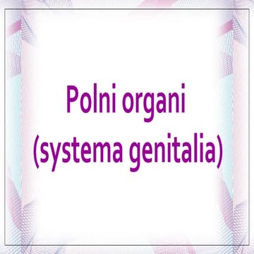 ANATOMIJA Polni organi | PPT