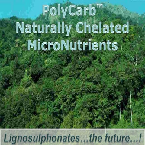 Our featured product - PolyCarb | PPT