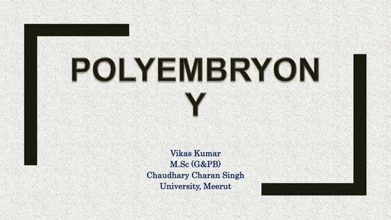 Insect Leg: Structure and Modifications | PPTX | Rowing | Sports