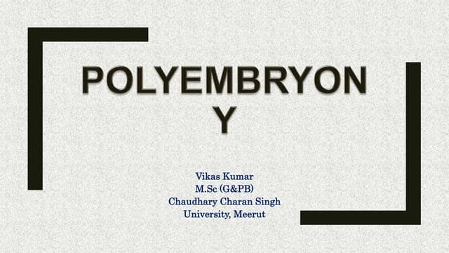 Insect Leg: Structure and Modifications | PPTX