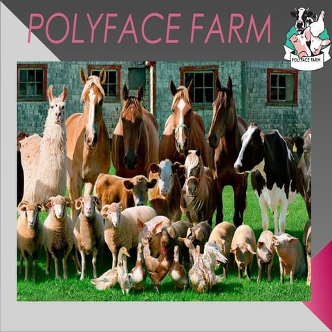 Polyface farm | PPT