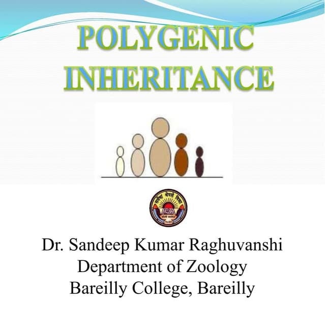 Polygenes and their inheritance pattern.pptx
