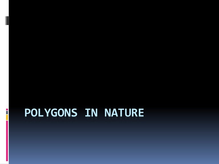 Polygons in nature