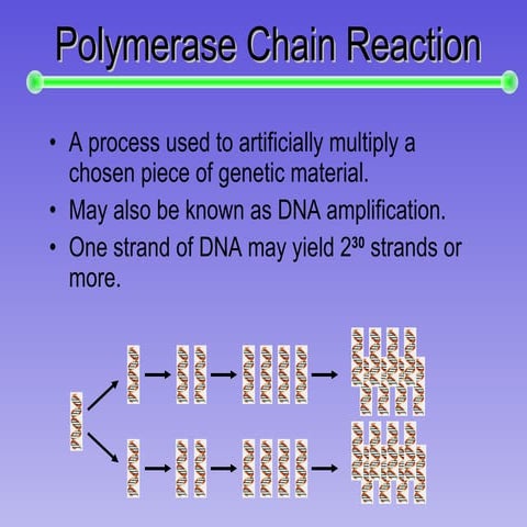 Polymerase Chain Reaction | PPT