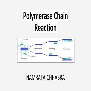 Basal metabolic rate (BMR)- Factors affecting BMR, measurement and clinical significance | PDF