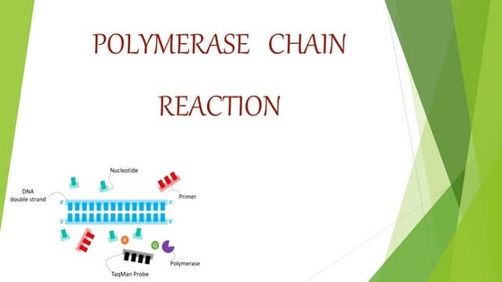 Polymerase Chain Reaction Cartoon Biology Animations CSHL DNA