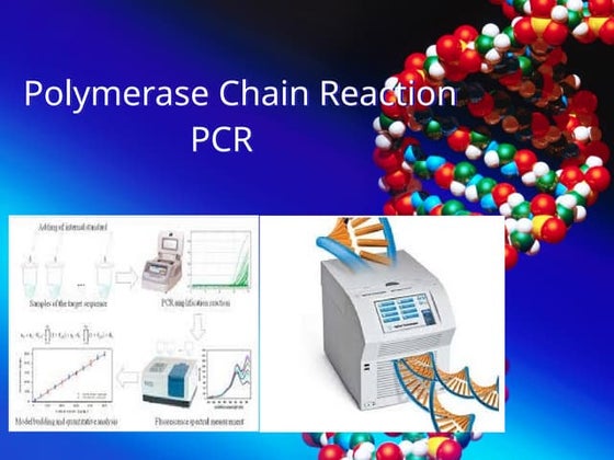 Polymerase Chain Reaction | PPTX