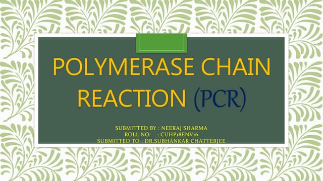 Polymerase Chain Reaction | PDF
