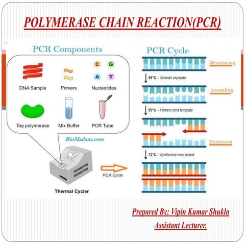 Polymerase chain reaction(pcr) | PPT