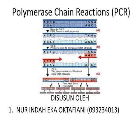 Polymerase chain reactions (pcr) | PPT