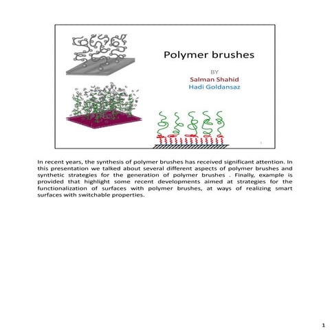 Polymer Brushes | PDF