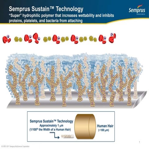Polymer cartoon | PPTX | Chemistry | Science