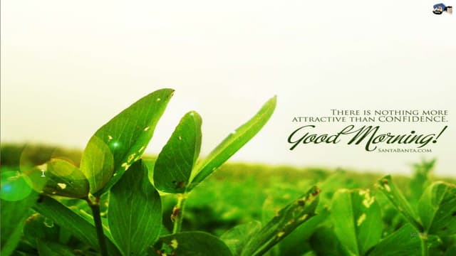 The structure and properties of polymers | PPT