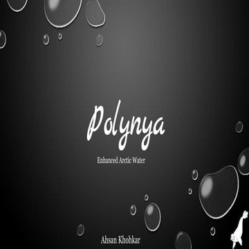 Polynya | PDF