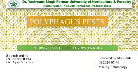 Difference between major mosquito species (Anophele, Culex and Aedes sp ...