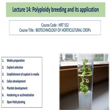 Polyploidy breeding | PPTX