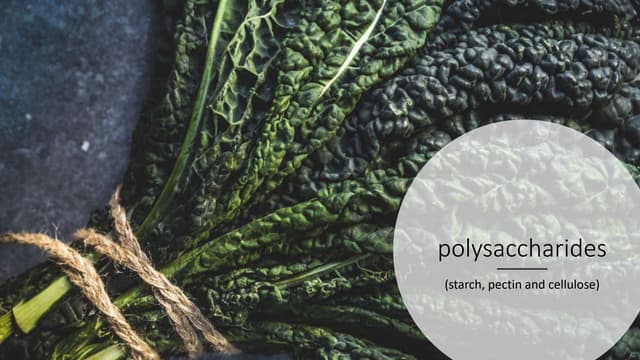 Polysaccharides in foods | PDF | Desserts and Baking | Food & Drink