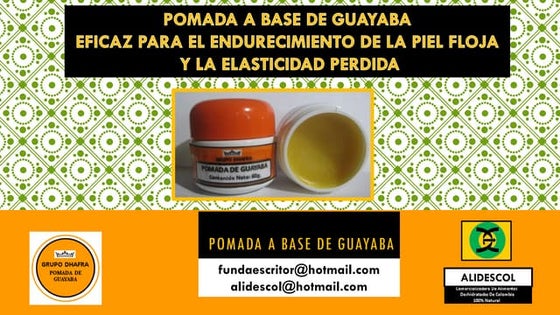 Pomada de diente león | PPT