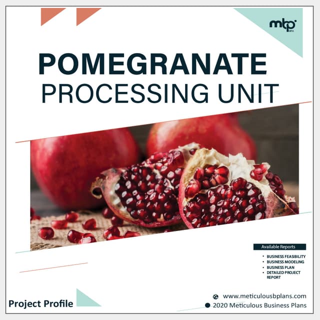 Pomegranate Processing Unit | PDF