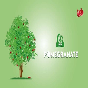 Production technology of pomegranate | PPTX