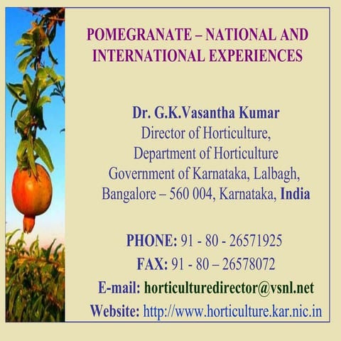 Pomegranate - Global Scenario | PPT