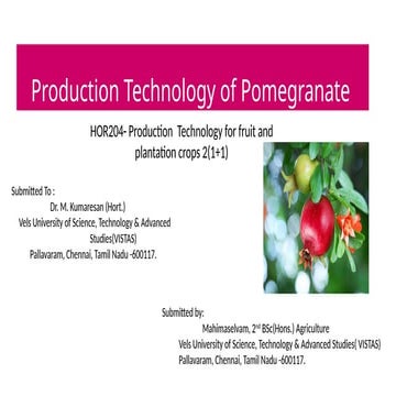 Production Technology of Pomegranate.pptx. | PPTX