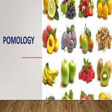 Pomology, Horticulture Plant Sciences.pptx