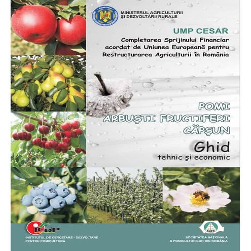 Pomi, arbusti fructiferi si capsuni | PDF