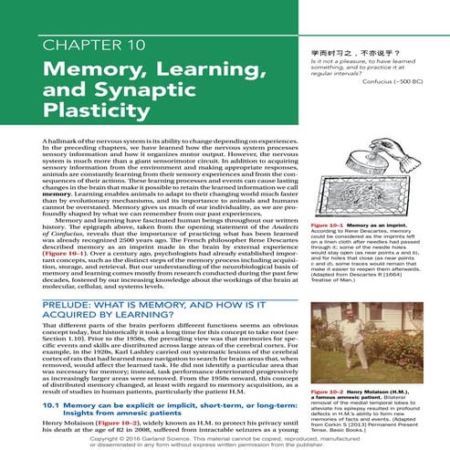 Memory, Learning, and Synaptic Plasticity 2015 | PDF