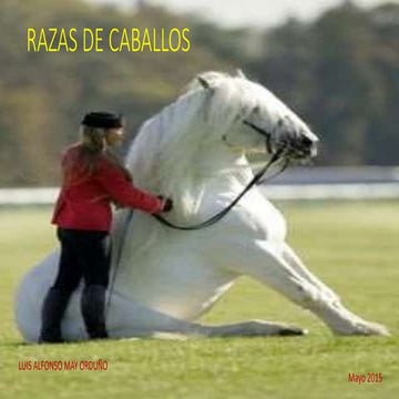 Razas de caballos | PPTX