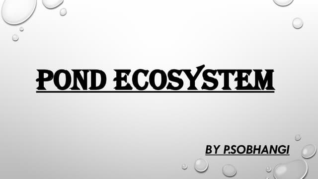 Pond Ecosystem Pptx Explains Basic Points About Pond Ecosystem Ppt