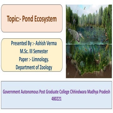 Pond Ecosystem ---- by AshishVerma1.pptx