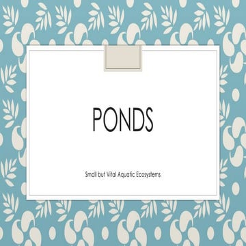 Ponds, short presentation for school.pptx