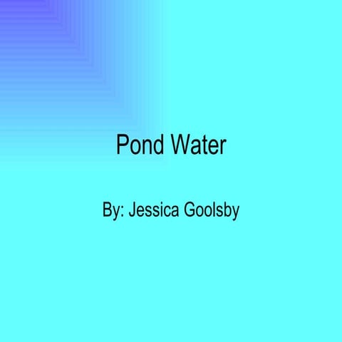 Pond Water | PPT