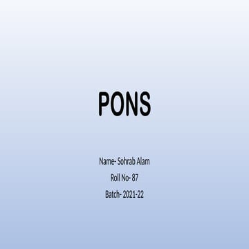 Pons introduction external features internal features arterial supply of pons | PPTX
