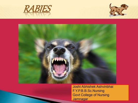 Dr.k yashoda rabies presentation | PPTX