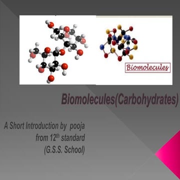 Biomolecules_Class_12_Chemistry.pptx biomolecules | PPTX